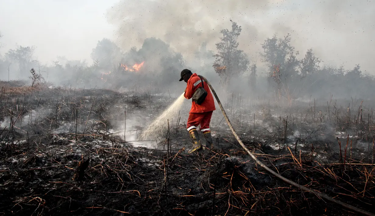 Sempat Padam, Lahan Gambut di Desa Rimbo Panjang Kampar Riau Kembali ...