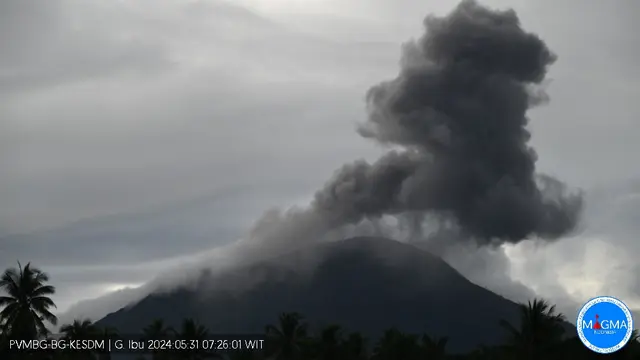 Gunung Ibu Erupsi Lagi, Semburkan Abu Vulkanik 800 Meter ke Arah Barat Daya - Regional Liputan6.com