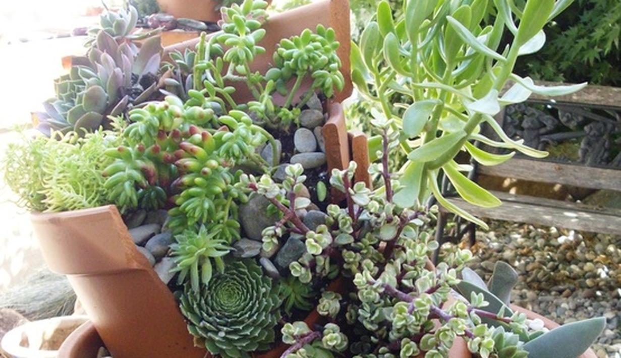 Hias Taman Lebih Cantik, Ini Dia DIY Pot Bunga Seakan Fantasi - Photo ...