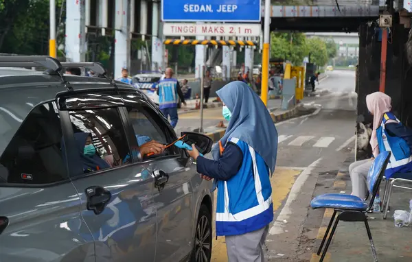 Nimfa adalah Tahapan dalam Metamorfosis Tidak Sempurna, Kenali ...