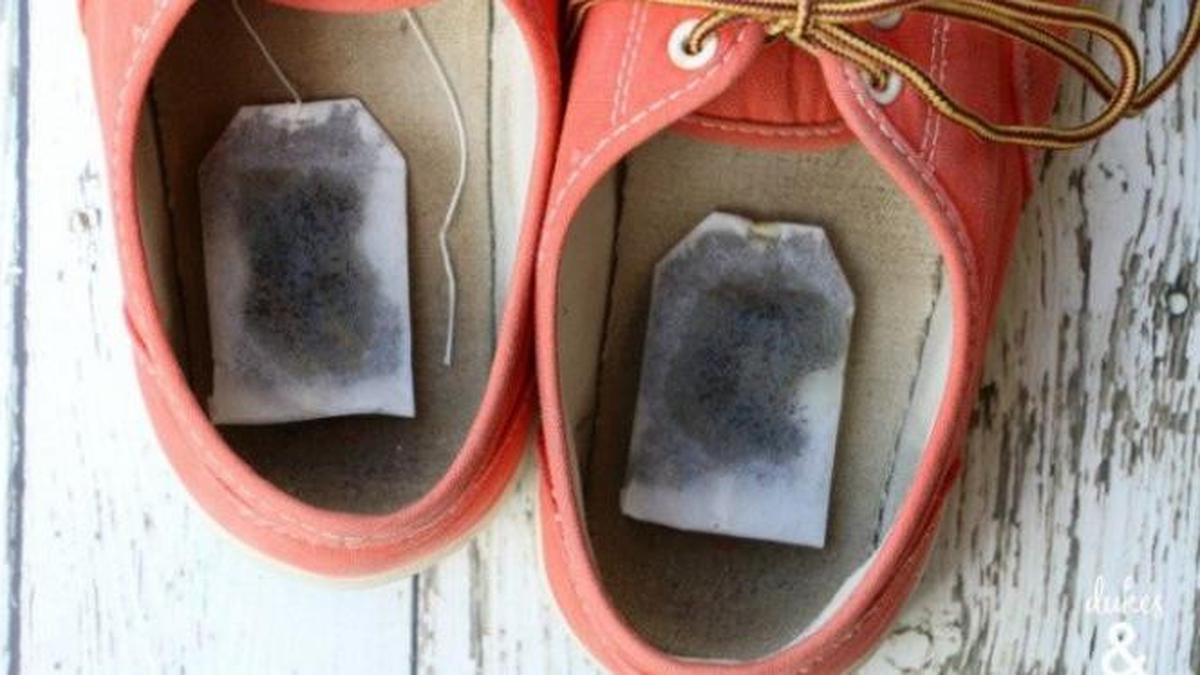 3 Cara Mudah Menghilangkan Bau pada Sepatu - Fashion & Beauty Liputan6.com