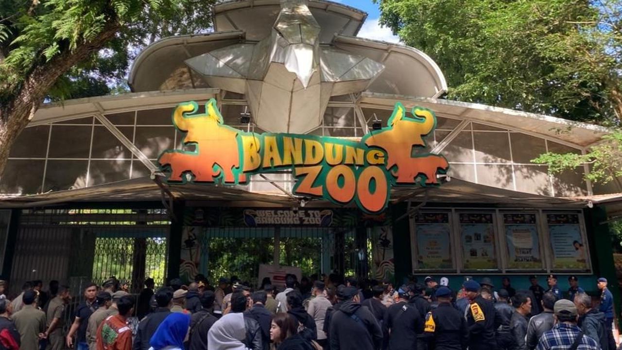 Kemenhut Cabut Izin Bandung Zoo, Begini Nasib Para Satwanya