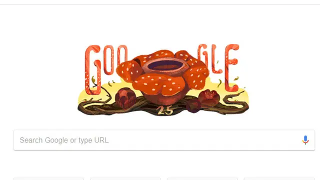 Ulang Tahun ke-25, Rafflesia Arnoldii Jadi Google Doodle Hari Ini ...