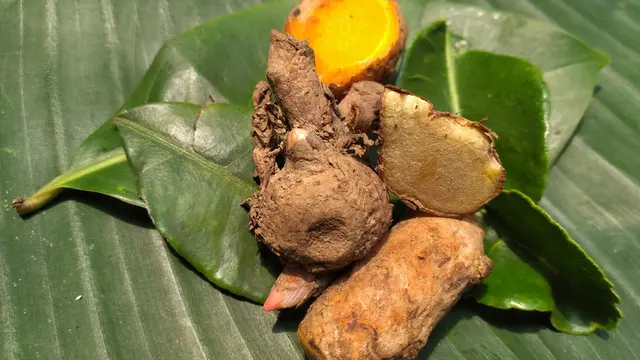 10 Manfaat Temulawak untuk Kesehatan dan Kecantikan - Lifestyle Fimela.com