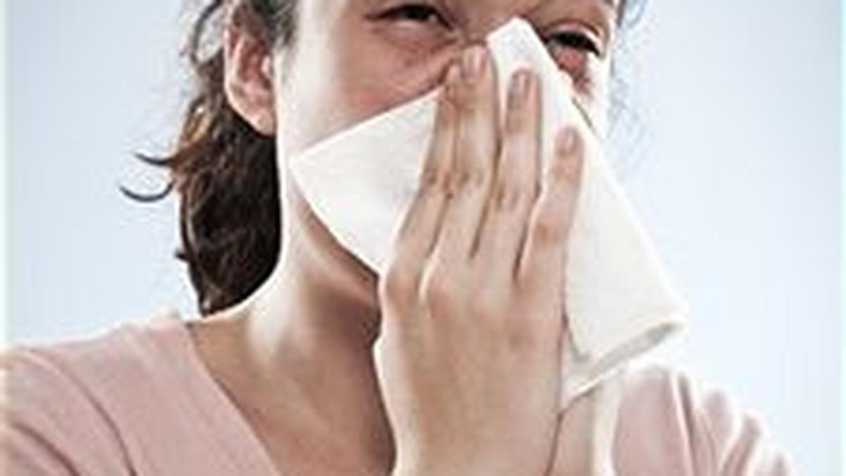 Selain Minum Obat, Ini Sederat Cara Alami untuk Meredakan Alergi ...