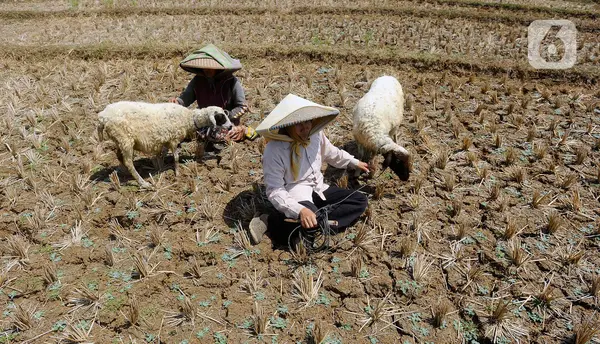 Sah, Hendra Lembong Diangkat Jadi Dirut BCA Gantikan Jahja Setiaatmadja ...