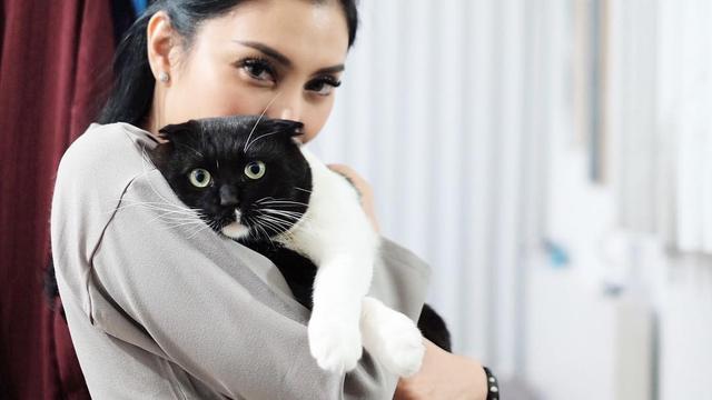 5 Seleb Cantik Tanah Air Ini Pecinta Kucing, Sama-Sama Bikin Gemas ...