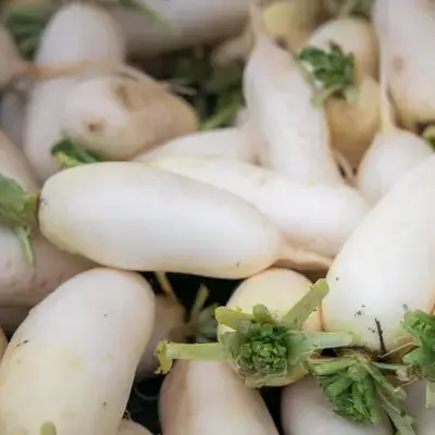 7 Resep Serba Lobak untuk Menu Makan Siang - Food Fimela.com