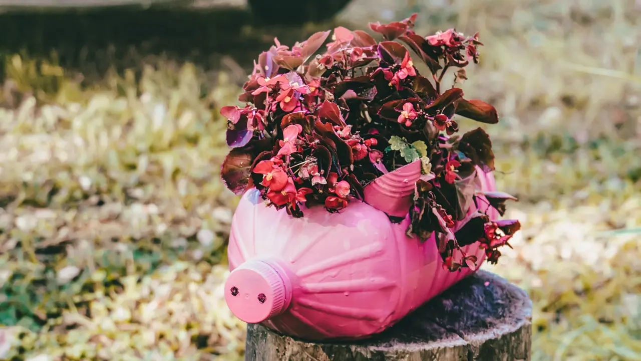 5 Cara Membuat Pot Bunga Lucu dari Botol Bekas, Selalu Kreatif di Rumah ...
