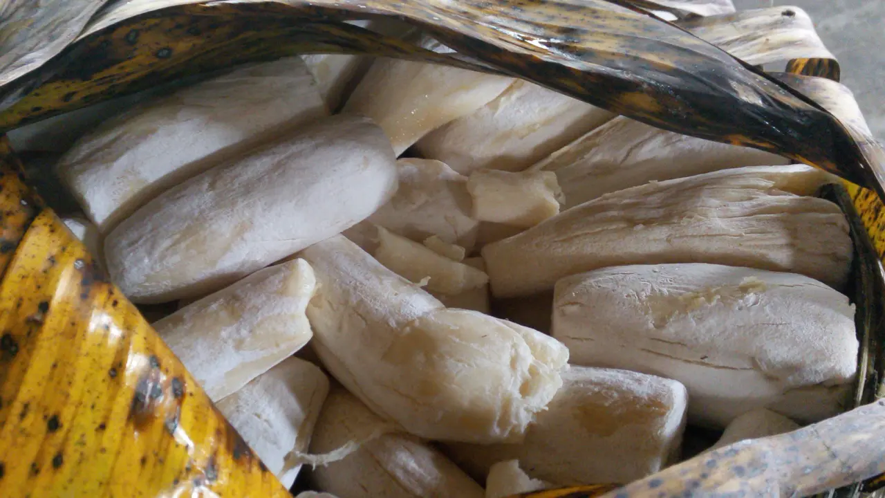 5 Fakta Peuyeum Bandung, di Antaranya Cegah Krisis Pangan Zaman Penjajahan - Regional Liputan6.com