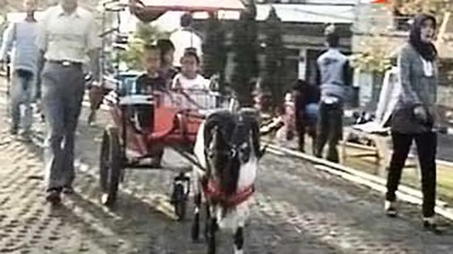 Menikmati Delman Domba di Alun-alun - News Liputan6.com