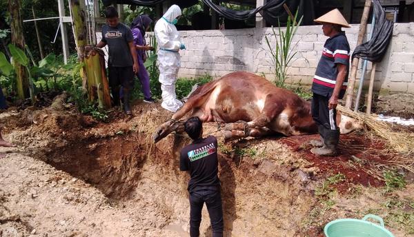 Tembiluk, Kuliner Suku Dayak di Tepian Sungai Kalimantan