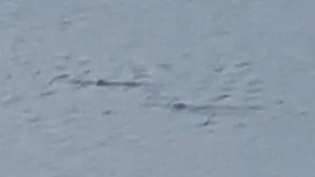 Foto Pertama Monster Loch Ness Dijepret Tahun 1933, Sempat Bikin Dunia ...