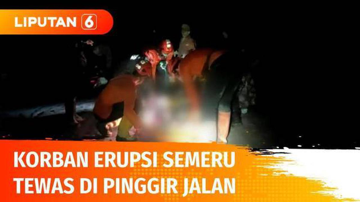 Video Tim Sar Gabungan Menemukan Korban Erupsi Gunung Semeru