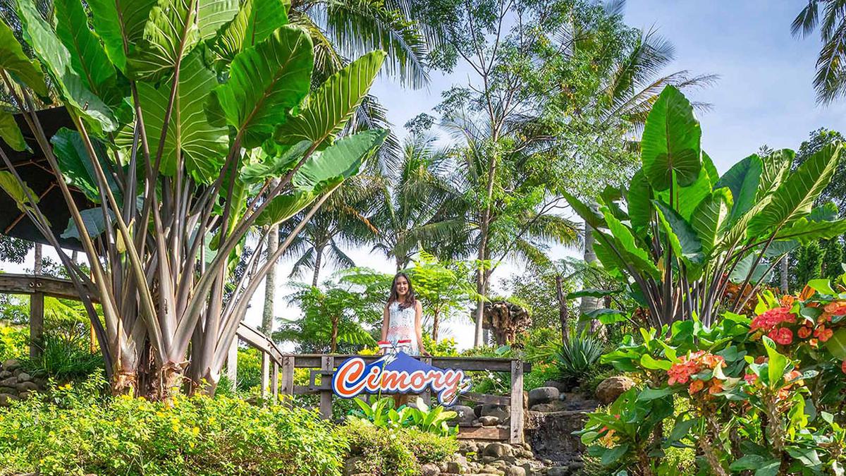 Cimory Semarang: Destinasi Wisata Edukasi dan Rekreasi yang ...
