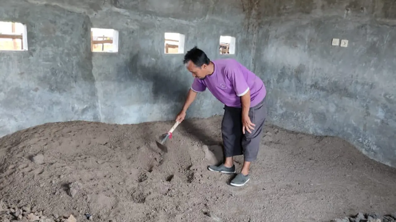 Berkah Kotoran Sapi Bikin Rojai Jadi Petani Mandiri - Regional Liputan6.com