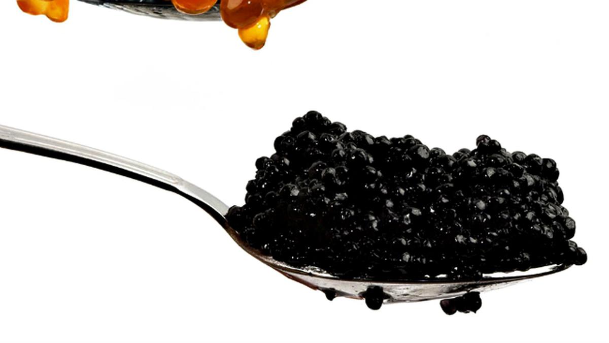 Masker Kaviar ala Angelina Jolie, Mau Coba? - Fashion & Beauty Liputan6.com