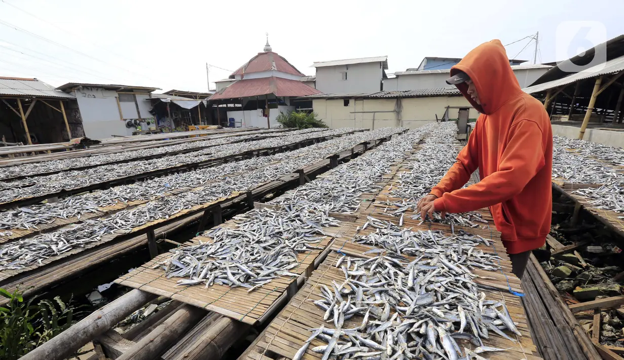 FOTO: Produksi Olahan Ikan Asin Menurun - Foto Liputan6.com