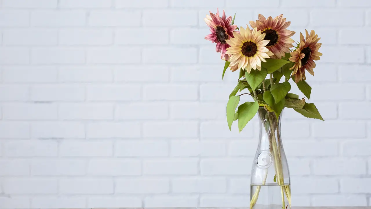 9 Cara Merangkai Bunga Mudah dan Simpel, Cocok untuk Pemula - Hot ...