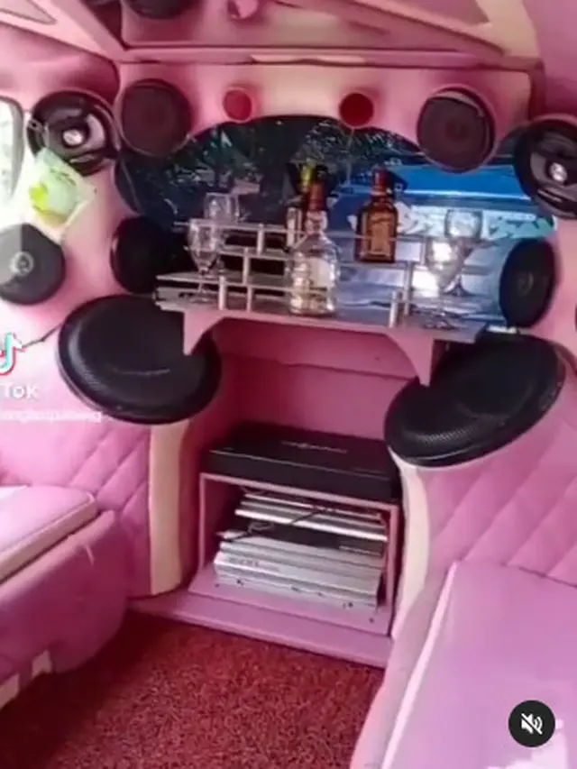 Kumpulan Potret Angkot Mewah yang Bikin Penumpang Serasa Sultan ...