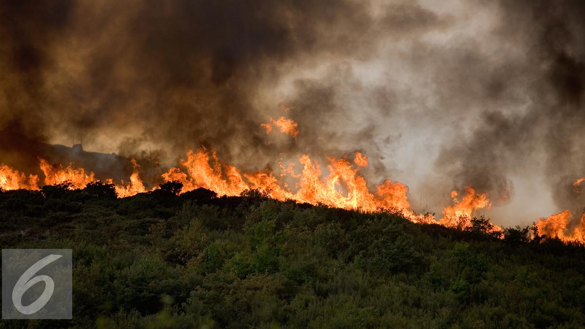 Kebakaran Hutan dan Lahan di Meulaboh, Warga Diselimuti Kabut Asap