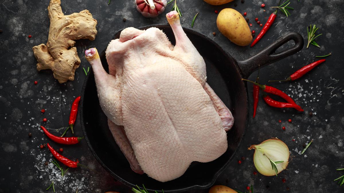 Cara Memasak Daging Entok Agar Tidak Amis dan Empuk