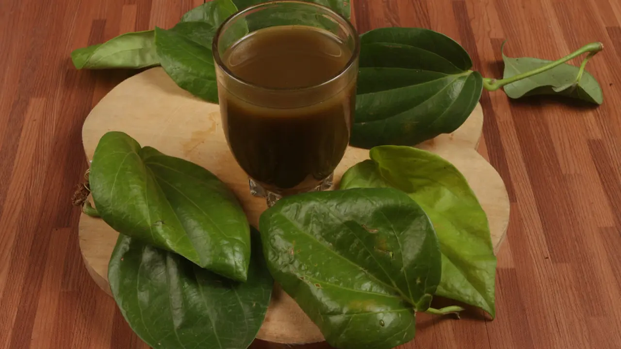 Manfaat Daun Suruhan yang Bisa Dijadikan Obat Herbal Penurun Kolesterol