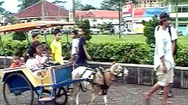 Delman Domba di Alun-Alun Ciamis - News Liputan6.com