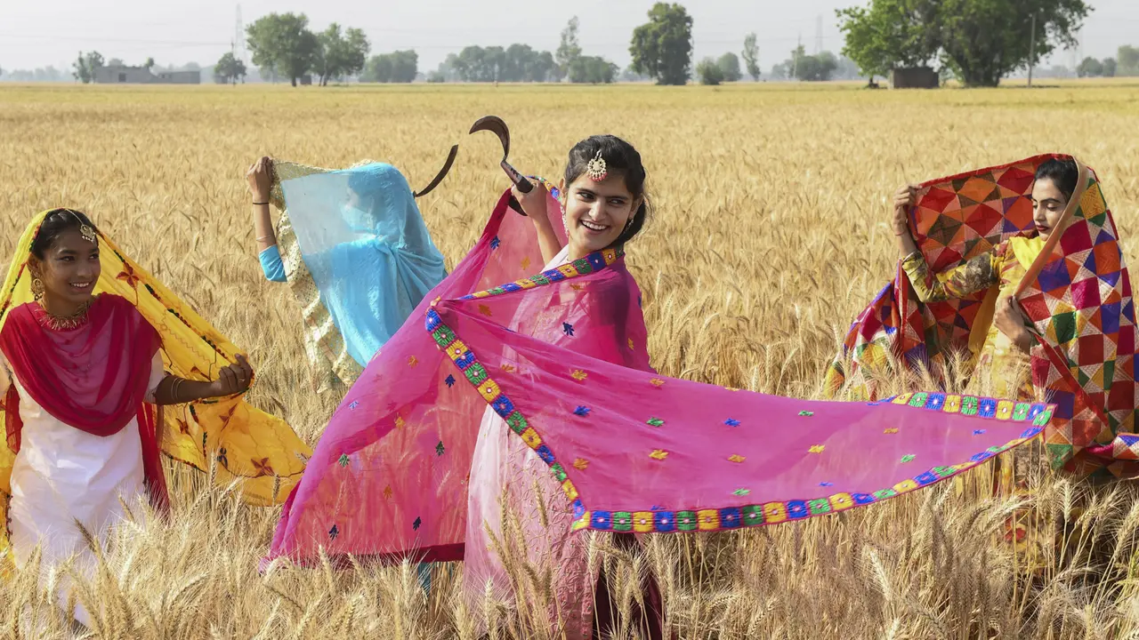 Potret Unik Para Penari India di Ladang Gandum Sambut Panen Raya ...