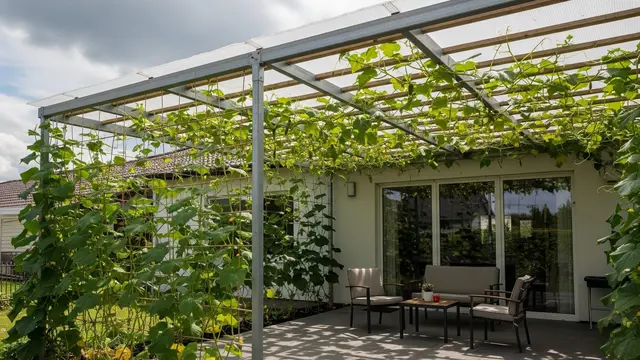 6 Inspirasi Kebun Timun Rambat di Atas Kanopi Rumah, Bikin Sejuk ...