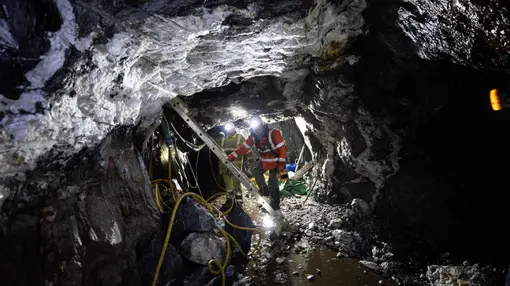 Anak Usaha Astra FIF Finance Rombak Susunan Pengurus, Ini Daftar ...