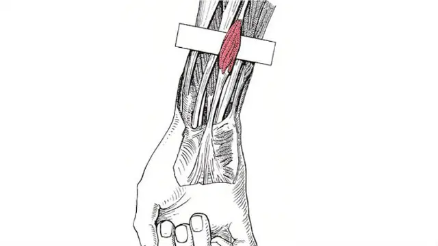 Ternyata Tubuh Manusia Modern Miliki Jejak Evolusi Leluhur - Global ...