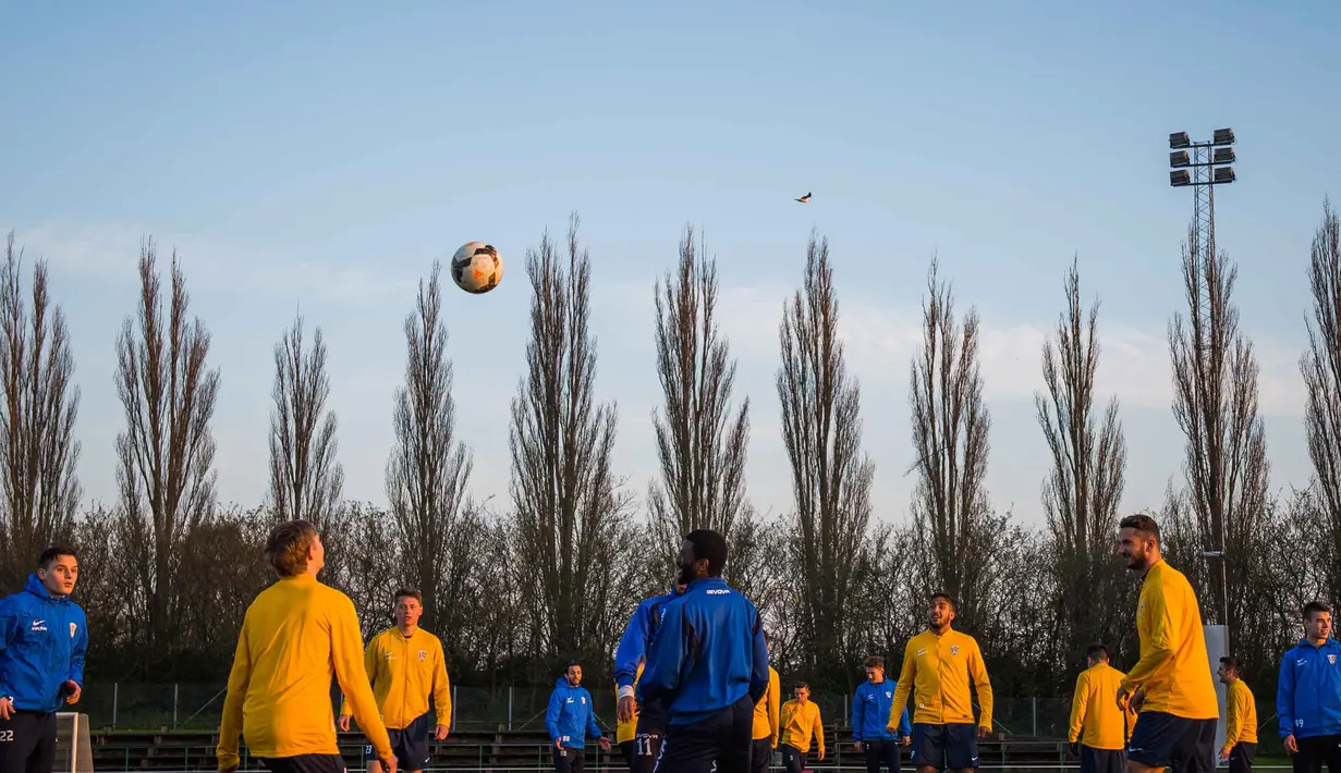 Menikmati Keindahan Lapangan Bola Zlatan Ibrahimovic - Foto Bola.com