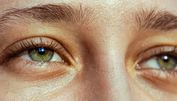 Apa Itu Deforestasi: Pengertian, Penyebab, dan Dampaknya - Feeds Liputan6.com