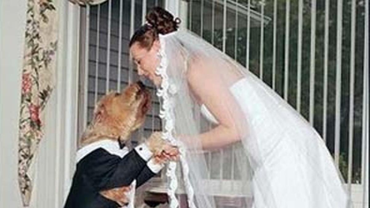 6 Pernikahan Manusia Dengan Hewan Paling Heboh Citizen6 Liputan6 Com