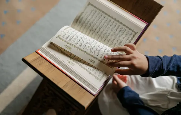 Ciri-Ciri Tanah Grumusol: Karakteristik, Persebaran, dan Pemanfaatannya ...