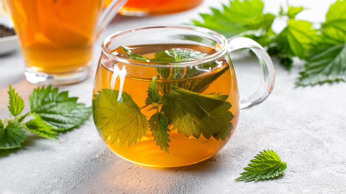 6 Resep Jamu Rebus Herbal, Miliki 3 Bahan Efektif untuk Asam Urat ...