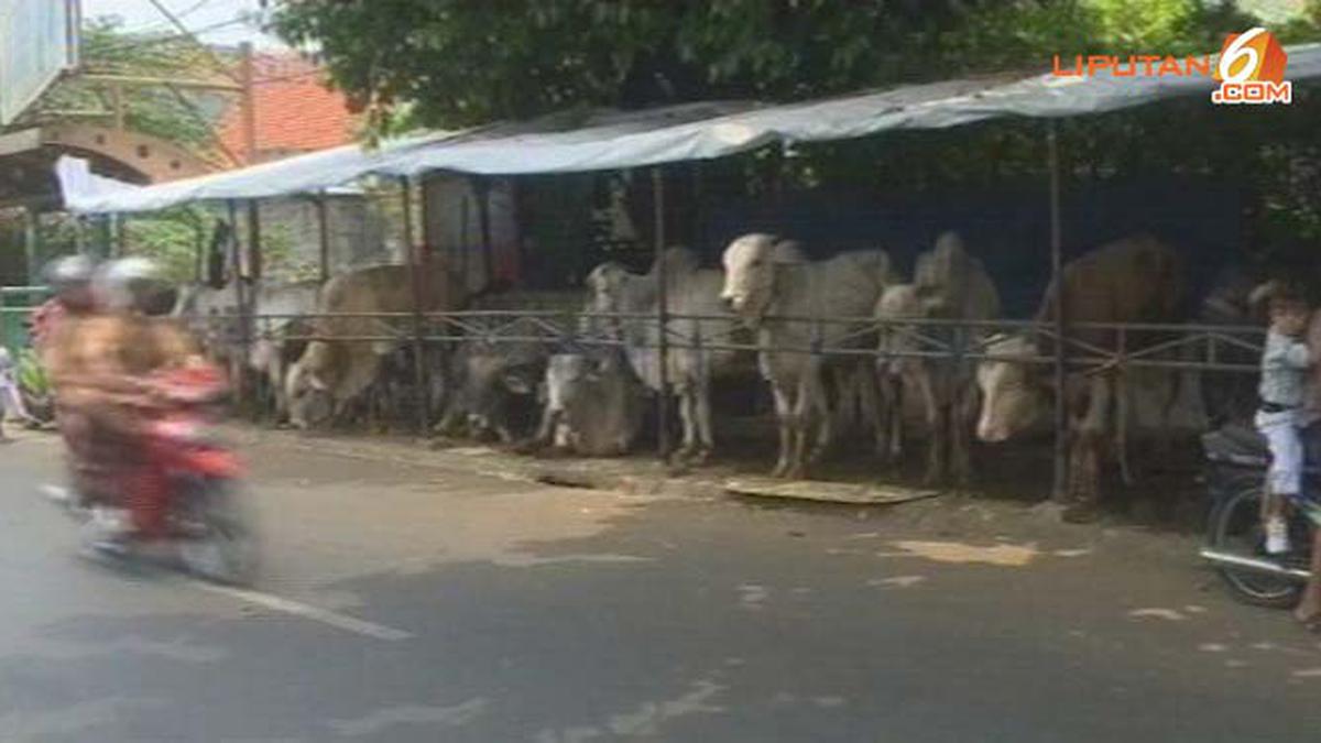 Cek di Sini! Daftar Harga Hewan Kurban di Pasaran - Bisnis Liputan6.com
