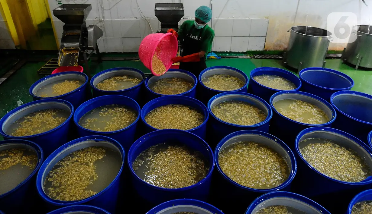 Aktivitas Pabrik Tempe Terbesar di Dunia untuk Ekspor - Foto Liputan6.com