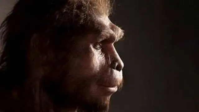 5 Manusia Purba Tertua di Indonesia, Berapa Ratus Tahun Umurnya ...