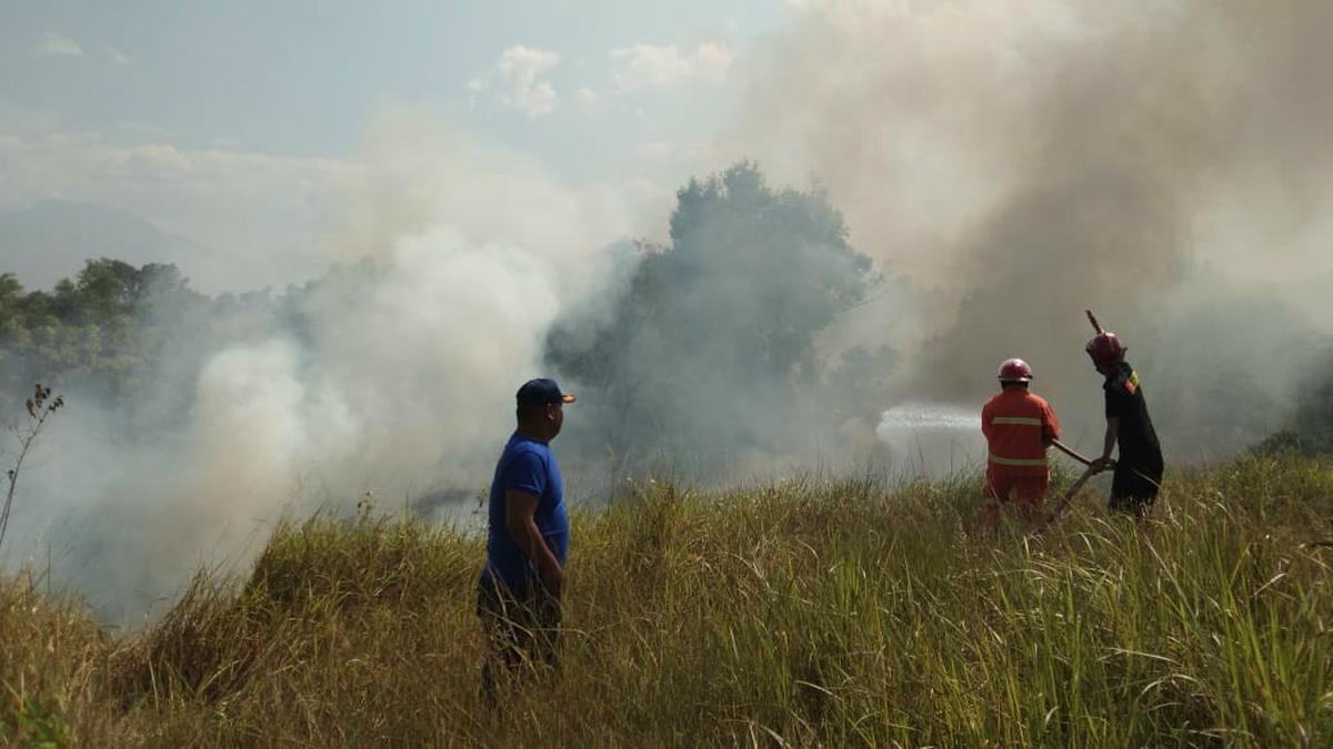 Kebakaran Hutan Dan Lahan Di Aceh Makin Meluas Regional