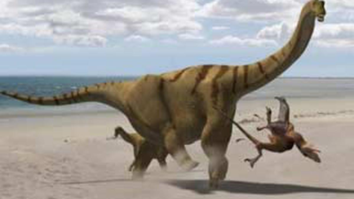 Ditemukan, Fosil Brontosaurus Penendang Predator - Tekno Liputan6.com