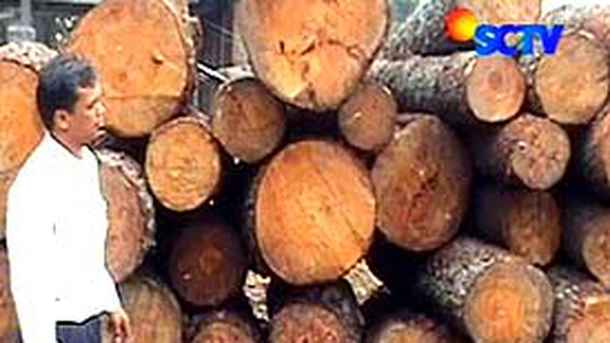 Kejati Jambi Diminta Menonaktifkan Muhammad Madel - News Liputan6.com