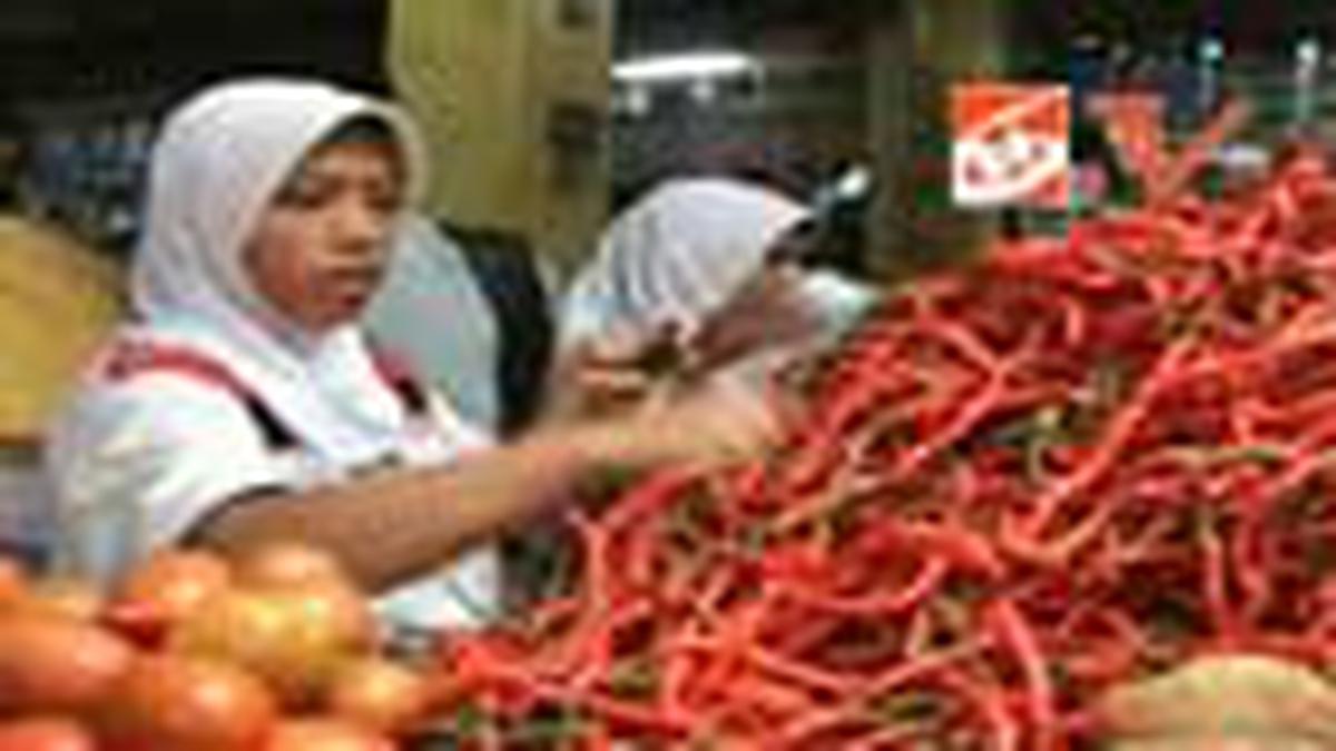 Cabai Mahal, Petani Tetap Tak Untung - Video Liputan6.com