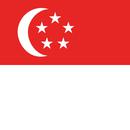 Kelangkaan Matcha Meluas ke Luar Jepang, Dampaknya sampai Singapura dan ...