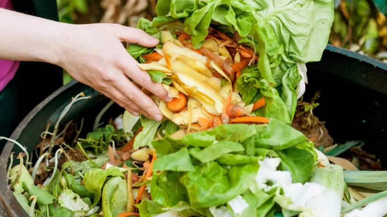 Contoh Limbah Organik dan Cara Pengolahannya, Bisa Dijadikan Pupuk ...