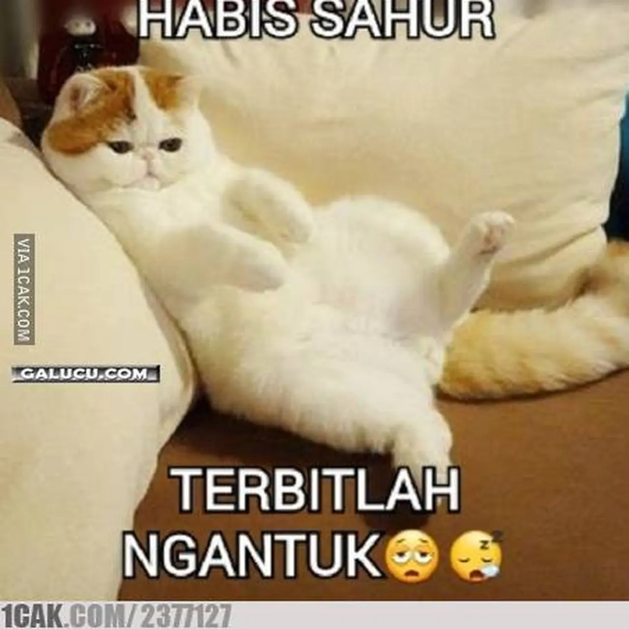 6 Meme Tidur Setelah Sahur Ini Sering Dialami, Bikin Angguk Setuju - Hot Liputan6.com