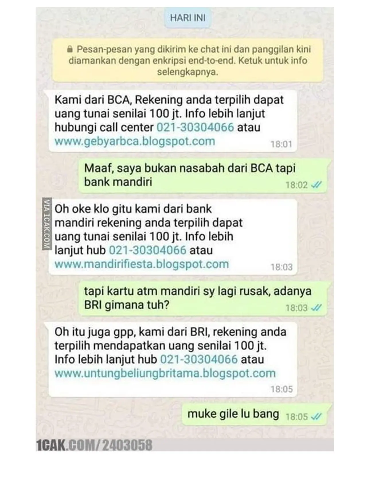 6 Balasan Chat Penipuan Modus Menang Undian Ini Kocak, Senyum Puas Bacanya - Hot Liputan6.com