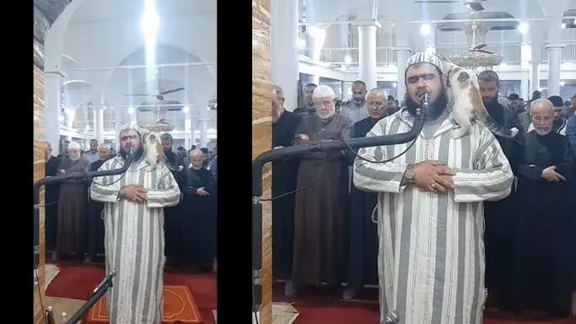 Viral Kucing Naik ke Pundak Imam Saat Sholat Tarawih, Warganet: Lucu ...