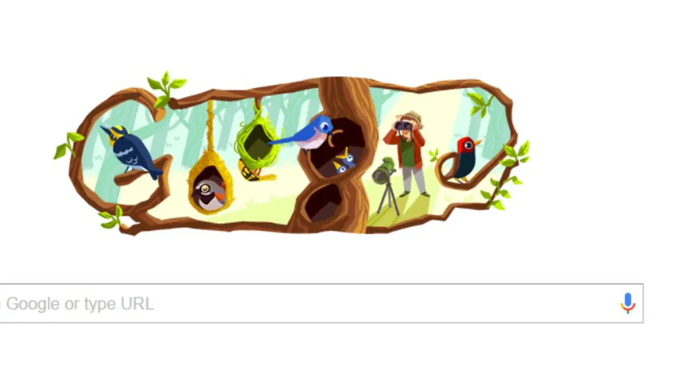5 Fakta Phoebe Snetsinger yang Jadi Google Doodle Hari ini - Lifestyle ...